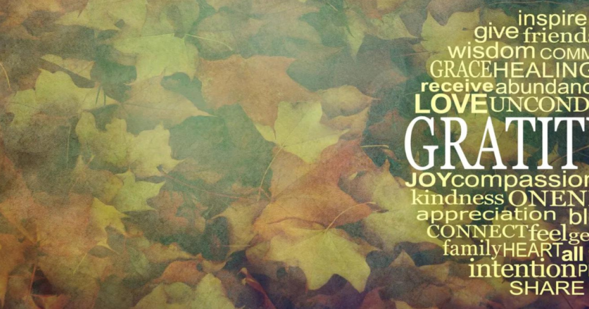 CEO Corner - December 2022 | inviteCHANGE