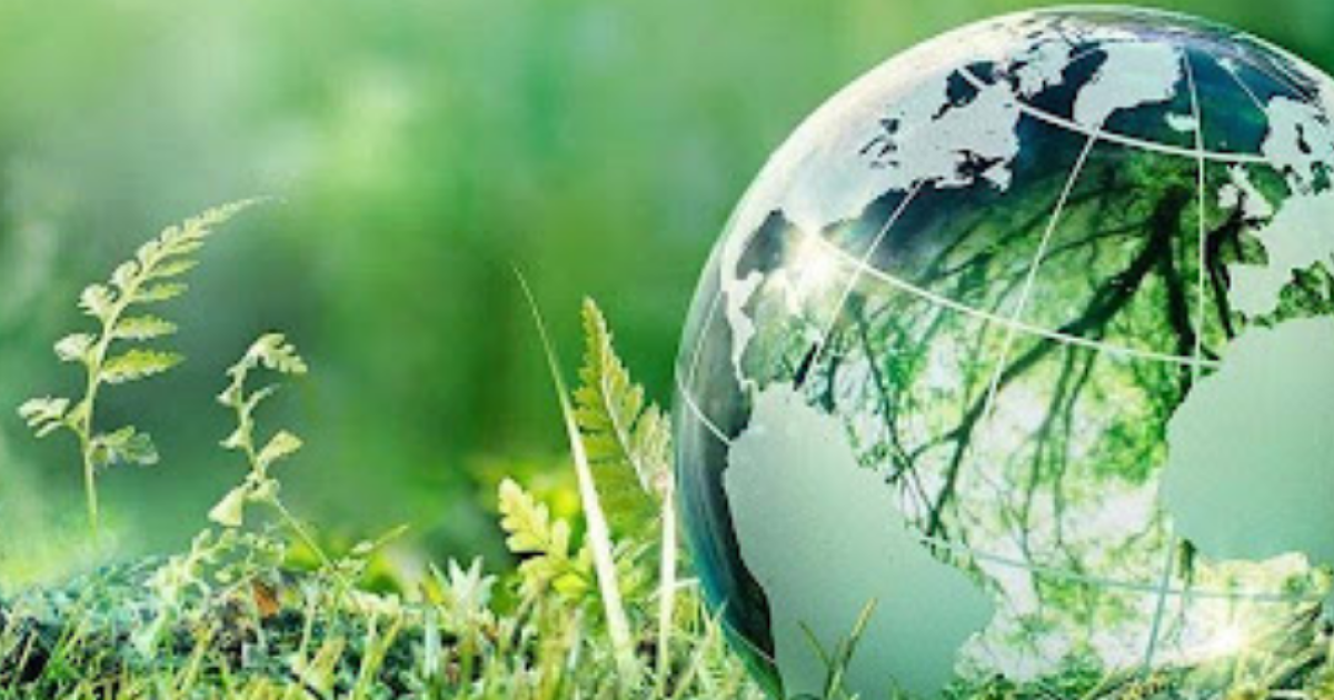 November Newsletter CEO Corner | inviteCHANGE